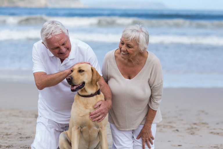 Fun Activities for Seniors on the Beach - Aged Traveler